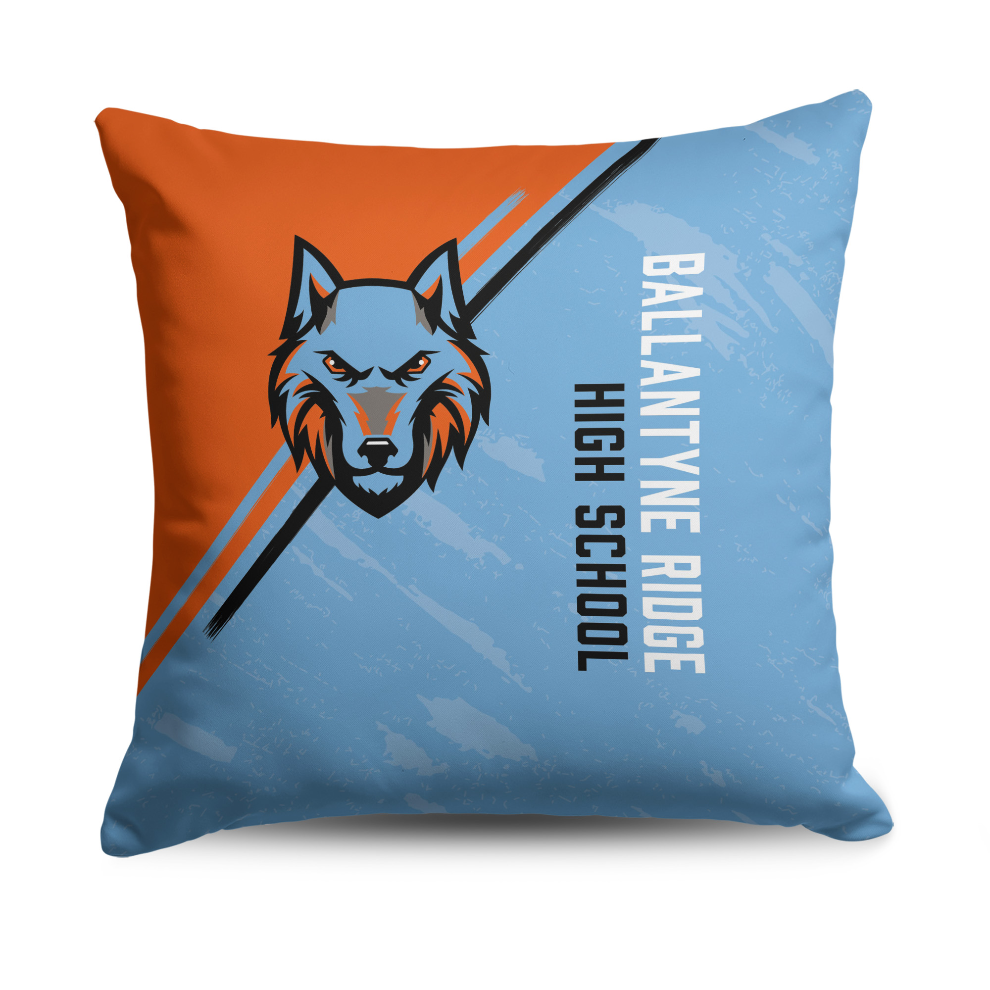 Ballantyne Ridge HS Band and Orchestra